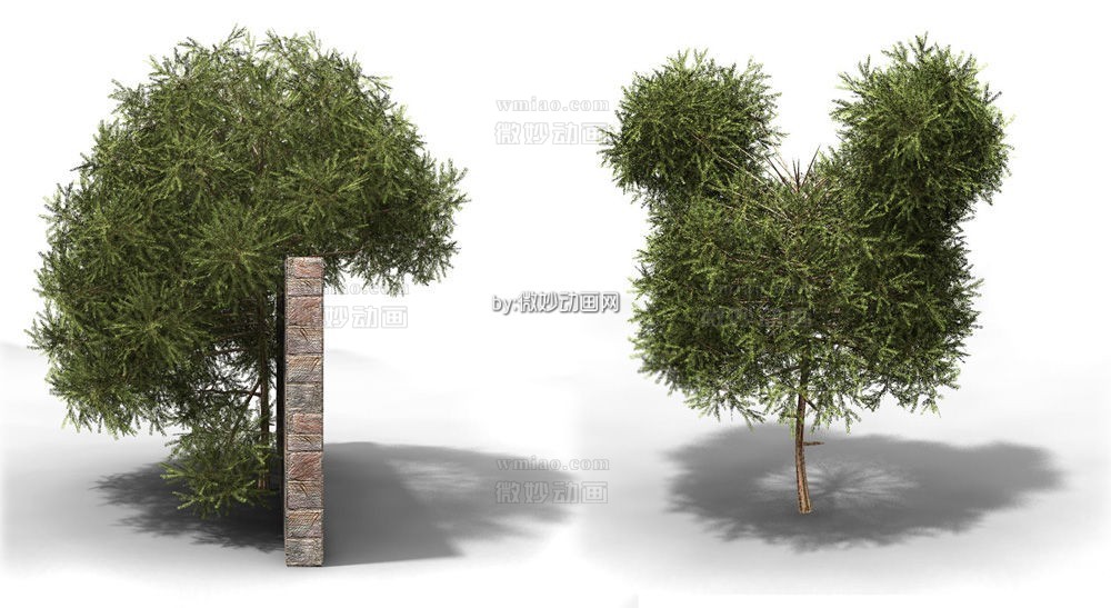 Maya植物生长插件 Greenworks XFrog v5.3 For Maya 2015 - 脚本插件 - 微妙网wmiao.com