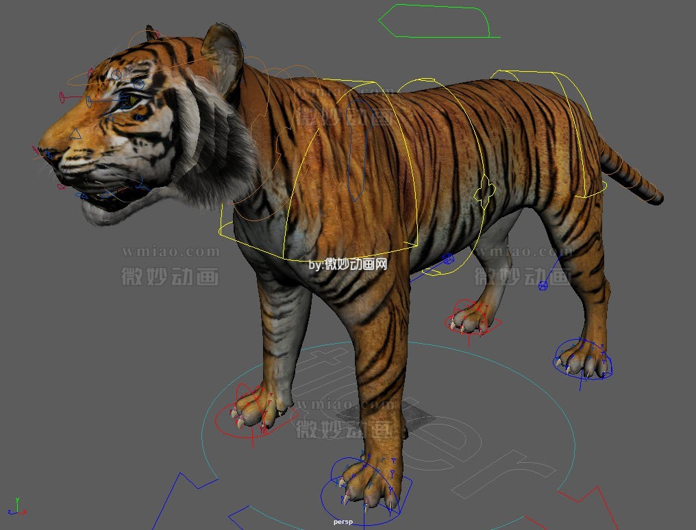 霸气的高精度老虎带贴图绑定maya模型下载 - CG模型 - 微妙网wmiao.com