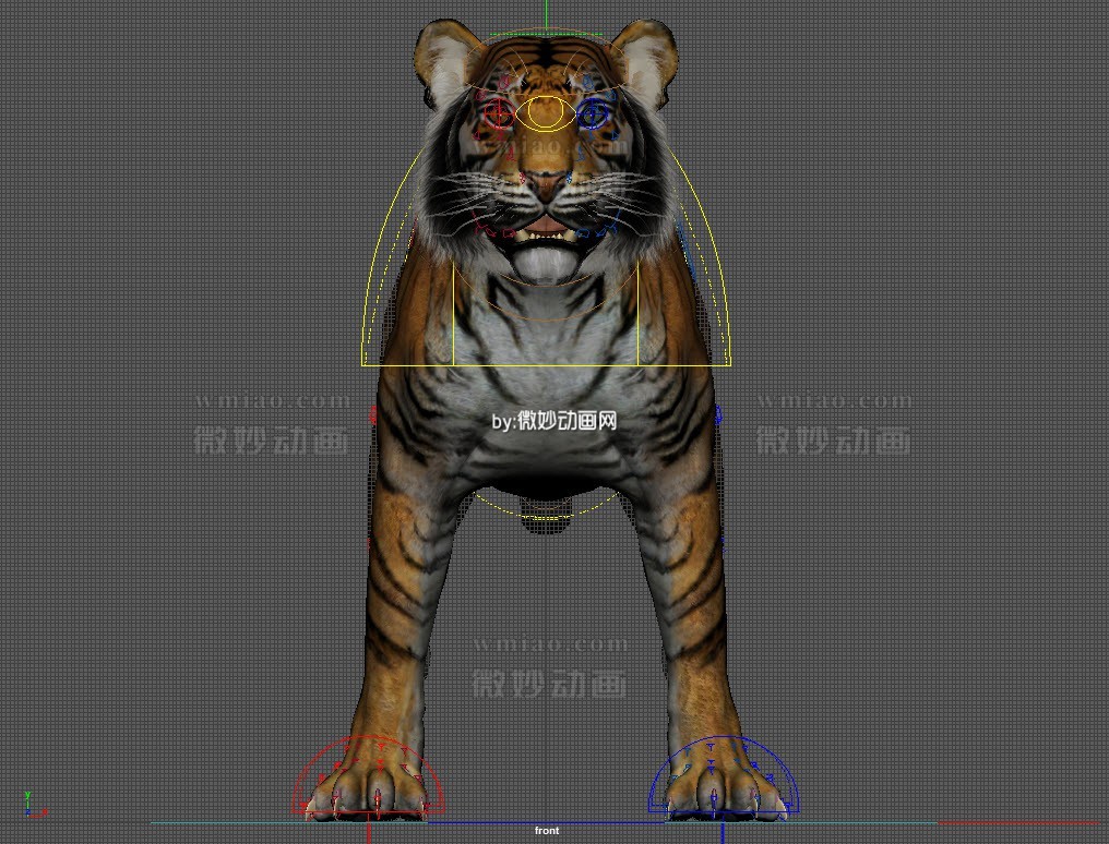 霸气的高精度老虎带贴图绑定maya模型下载 - CG模型 - 微妙网wmiao.com
