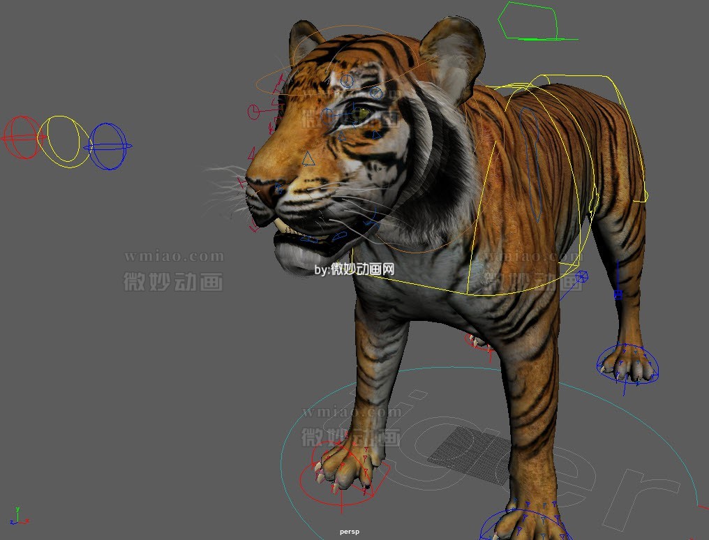 霸气的高精度老虎带贴图绑定maya模型下载 - CG模型 - 微妙网wmiao.com