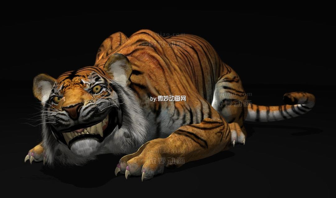 霸气的高精度老虎带贴图绑定maya模型下载 - CG模型 - 微妙网wmiao.com