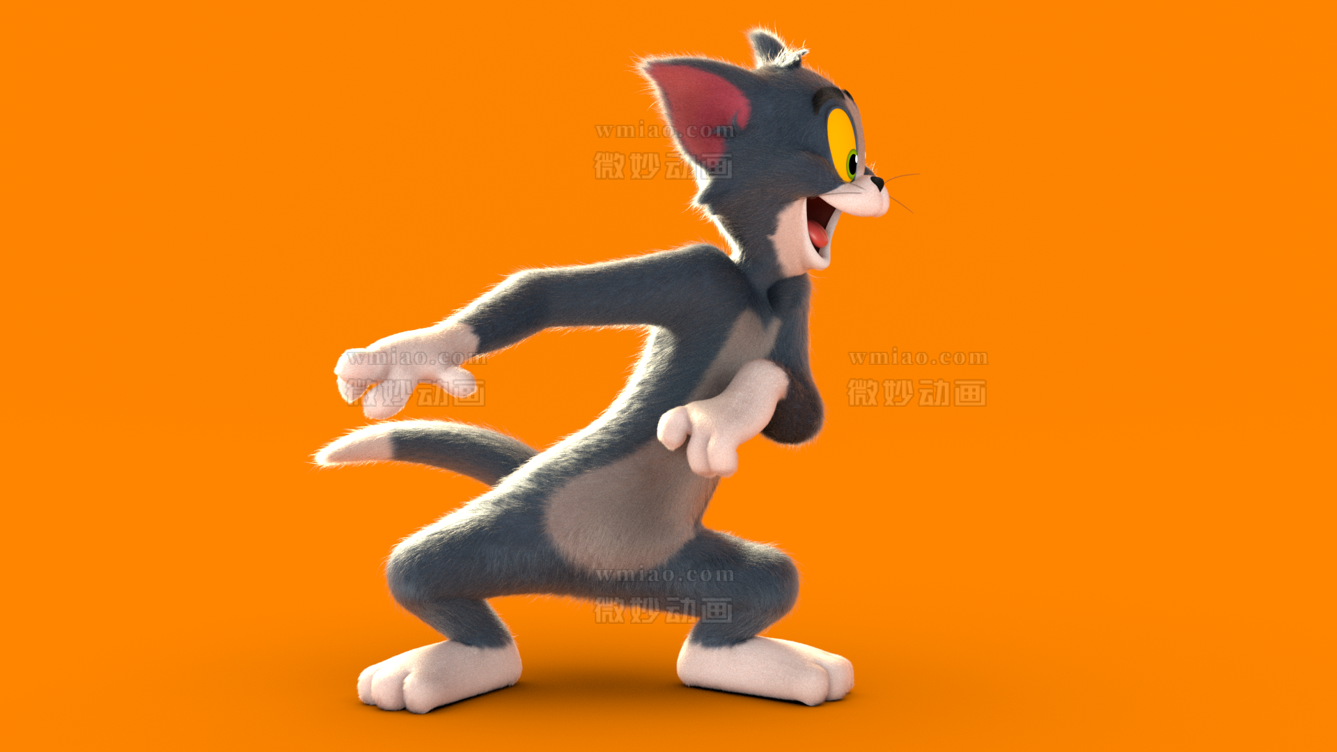猫和老鼠Tom_rig汤姆猫灯光、场景、毛发、绑定全套 - CG模型 - 微妙网wmiao.com